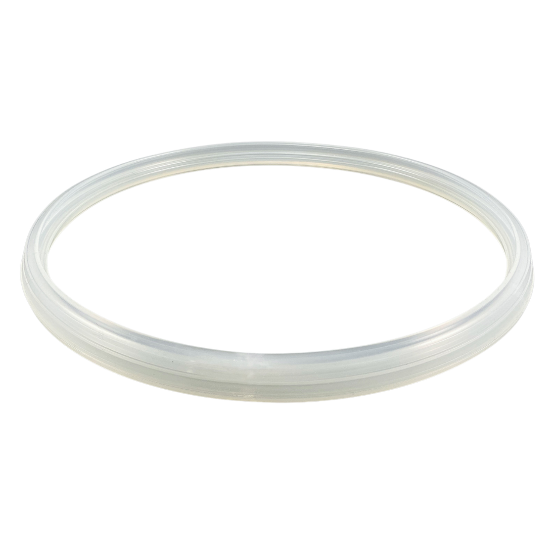 Exchangeable Frame Seal for P 110 | EOS Store